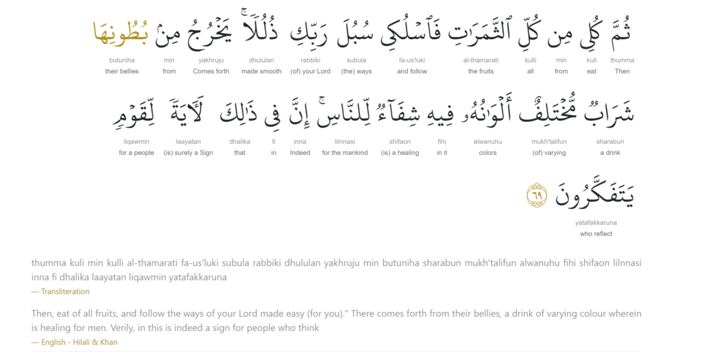 The Honey Bee - Amplify Islam